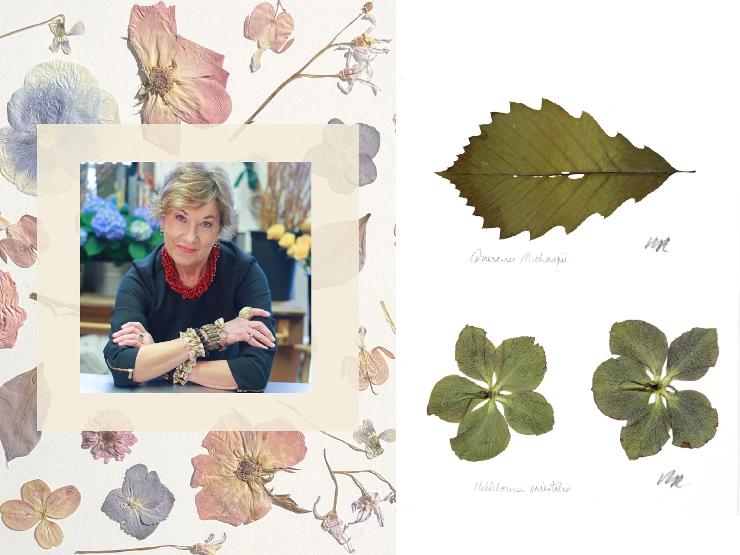 Roiann Ridley Art | botanical art designs