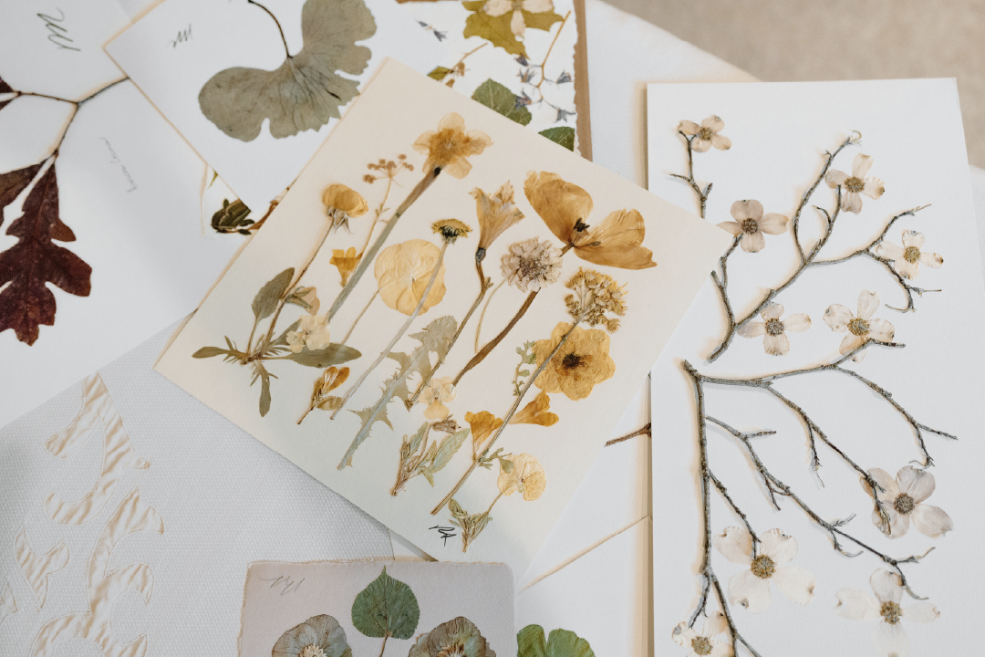 herbarium | Roiann Ridley Art